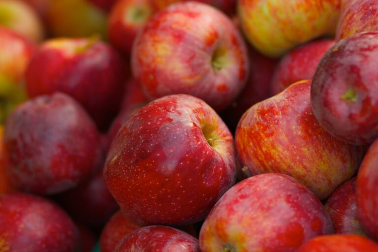 Jabuka Braeburn - Fragaria Planta